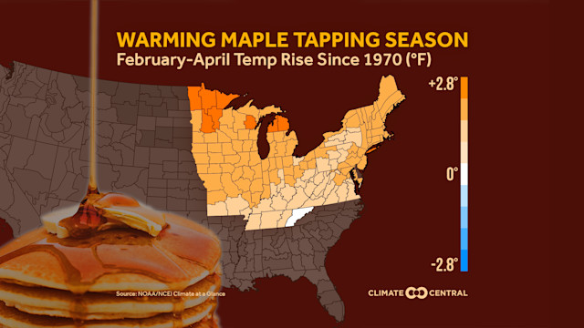 Maple Syrup Season | Climate Central