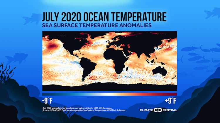 Ocean Heatwaves | Climate Central
