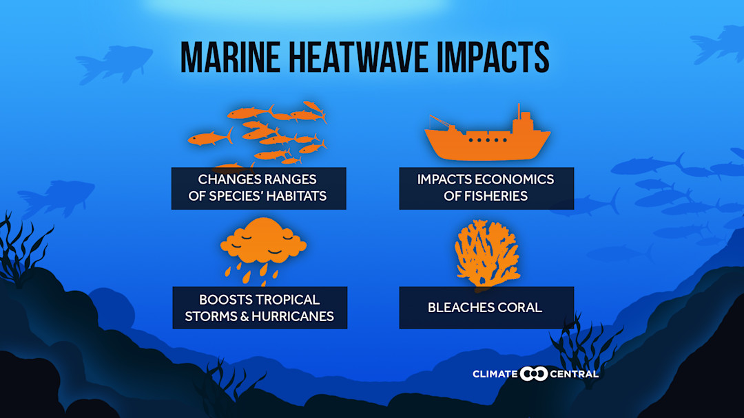 Ocean Heatwaves | Climate Central