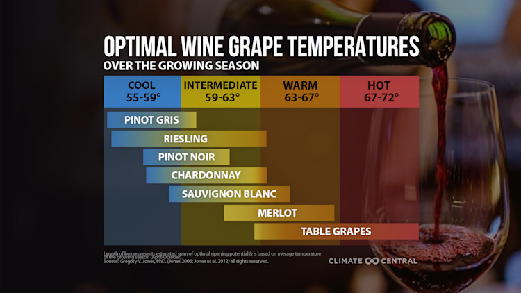 Climate Change & Wine | Climate Central