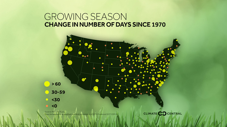More Pollen Calling | Climate Central
