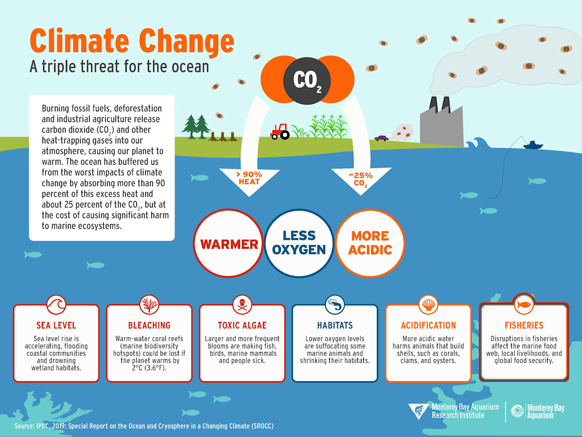 2019 IPCC Special Report: Oceans and Cryosphere | Climate Central