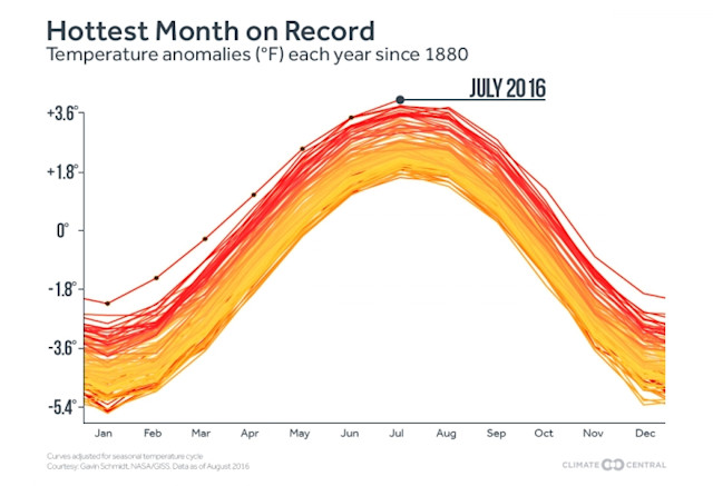 July Makes 15 Record Hot Months in a Row | Climate Central