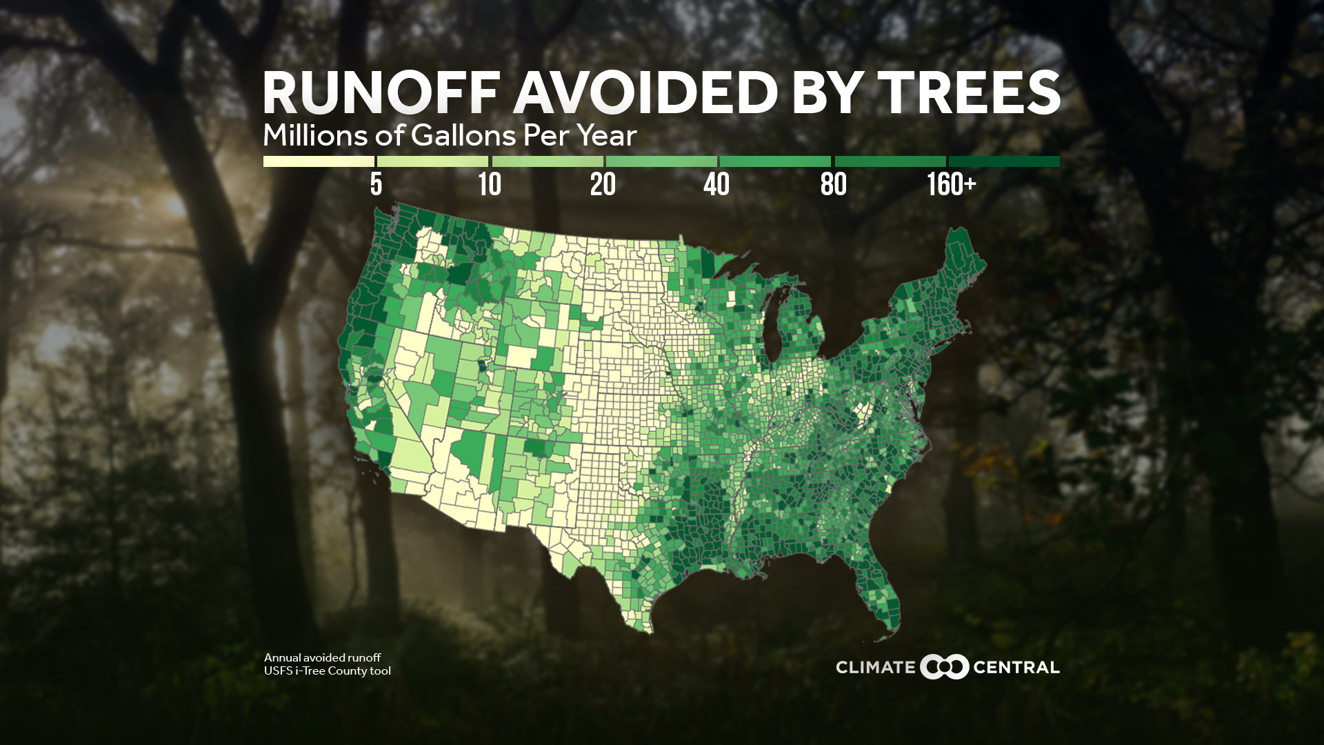 The Power of Trees: Fighting Floodwaters | Climate Central