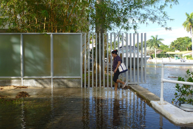 Rising Tides: How Near-Daily Flooding of America’s Shorelines Could ...