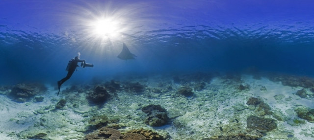 Breathtaking Coral Reef Panoramas Help Scientists | Climate Central