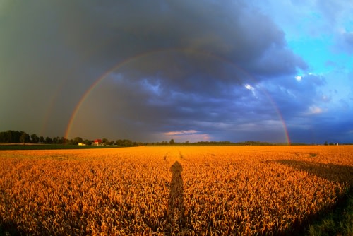 'Green Revolution' Brings Greater CO2 Swings | Climate Central