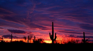 It's So Hot in Phoenix, Planes Can't Take Off | Climate Central