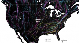 One Glorious Map Shows the Future of Animal Migrations | Climate Central