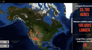Everything You Need to Know About Wildfires in One Map | Climate Central