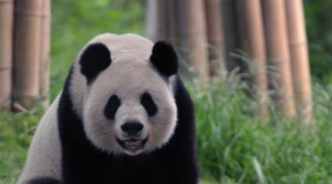 Study Adds to Arctic Warming, Extreme Weather Debate | Climate Central