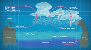 How Scientists Unraveled the El Nino Mystery | Climate Central