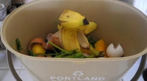Seattle to Fine Residents Who Fail to Compost | Climate Central