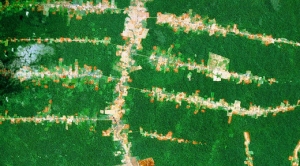 New Global ‘Roadmap’ Shows Where to Put Future Roads | Climate Central