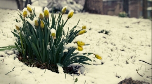 6 Degrees: A Warm Year, A Snowy Spring & Cool Maps | Climate Central