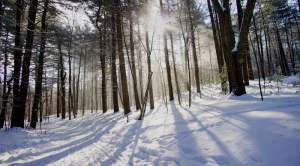 ON THIN ICE: How Climate Change is Shaping Winter Recreation | Climate ...