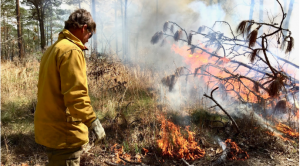Breathing Fire: ‘If we don’t burn it, nature will’: Georgia blazes old ...