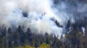 Breathing Fire: Change To Oregon Smoke Rules Seeing Early Results For ...