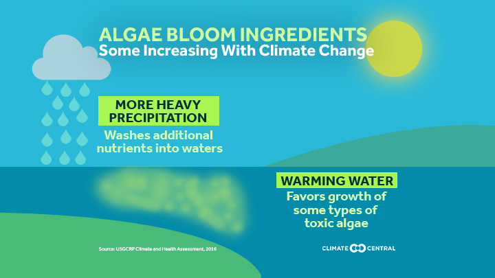 Algae Blooms | Climate Central