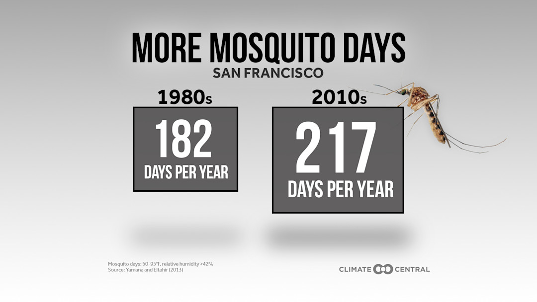 Climate Change and Health: Pests and Contamination | Climate Central