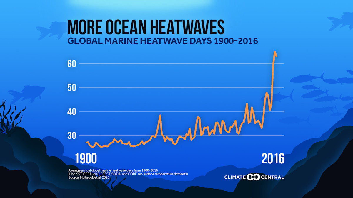 Ocean Heatwaves | Climate Central