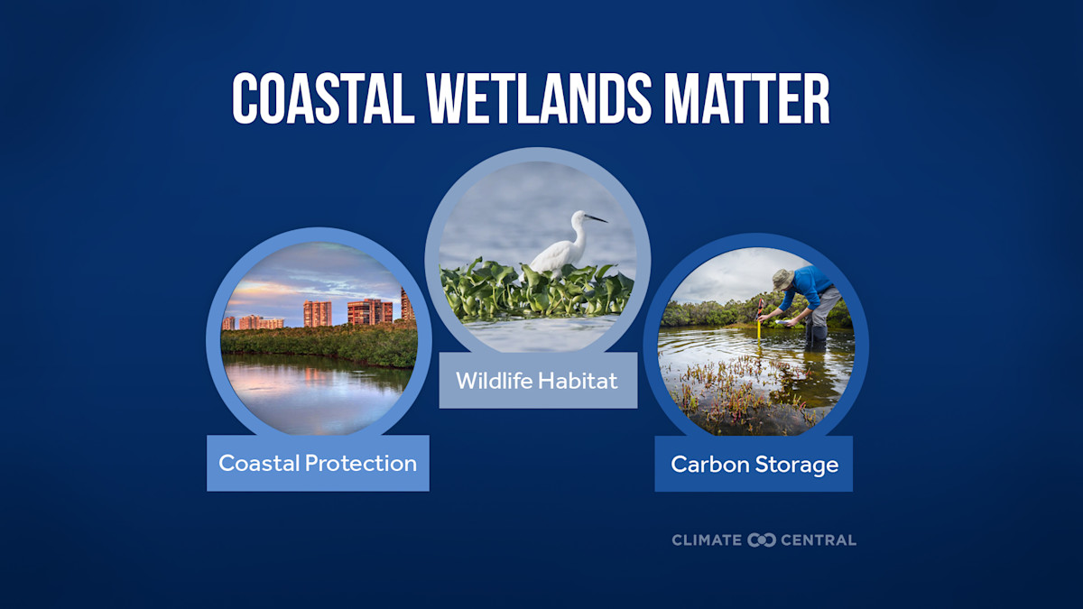 Extreme Weather Toolkit: Coastal Flooding | Climate Central