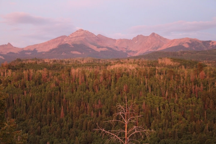 Drought May Stunt Forests’ Ability to Capture Carbon | Climate Central