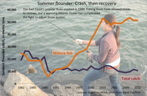 Uncivil War Brews Over Summer Flounder as Waters Warm | Climate Central