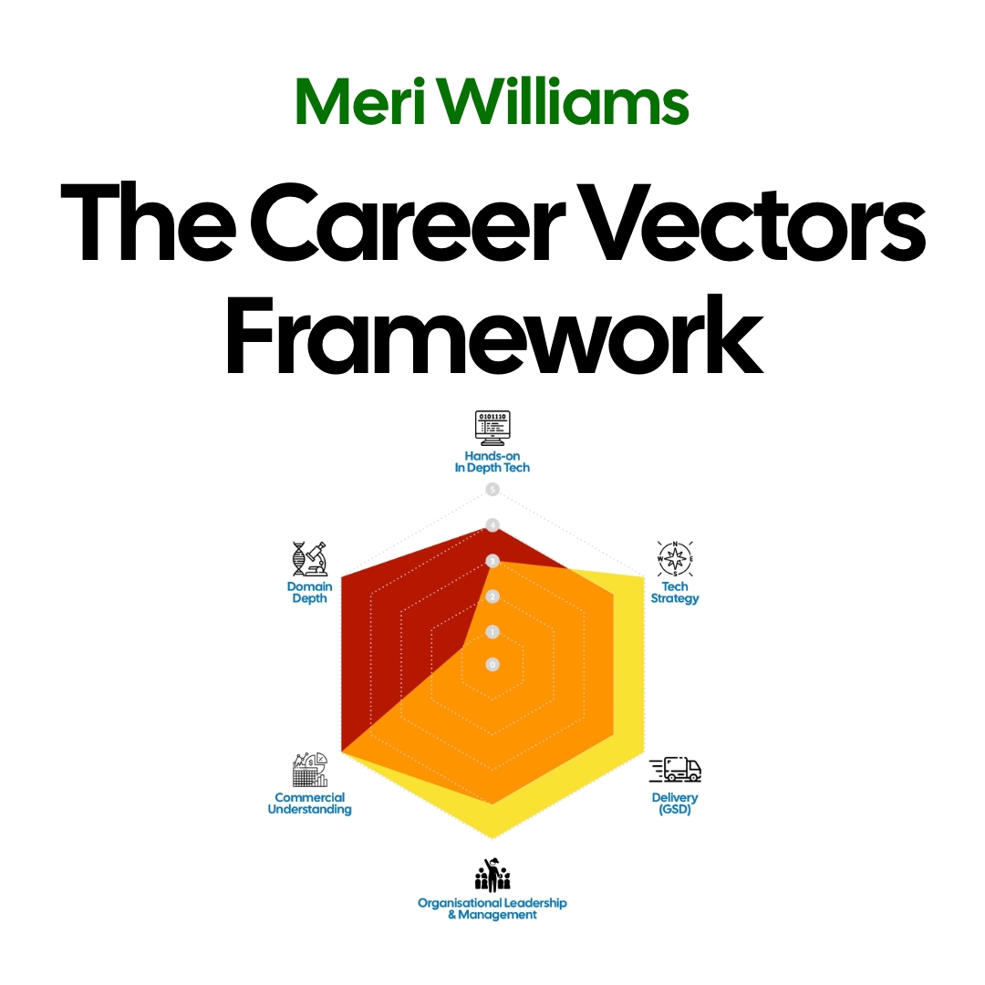 The Career Vectors Framework – Build Your Edge download – Build Your Edge