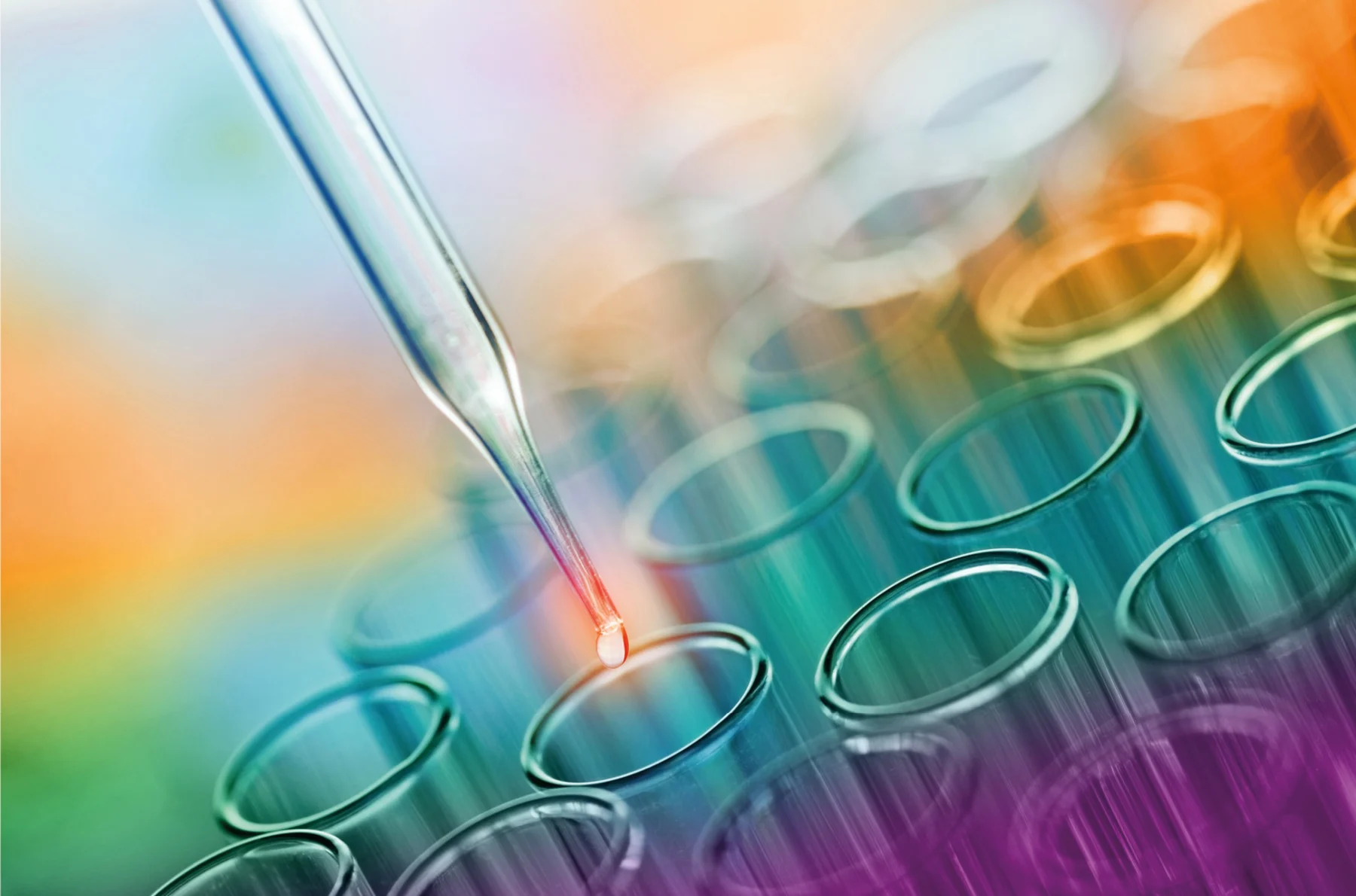 The Science of Colour in Marketing | WTTB