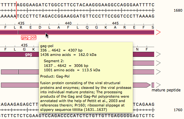 SnapGene Version 1.5.0