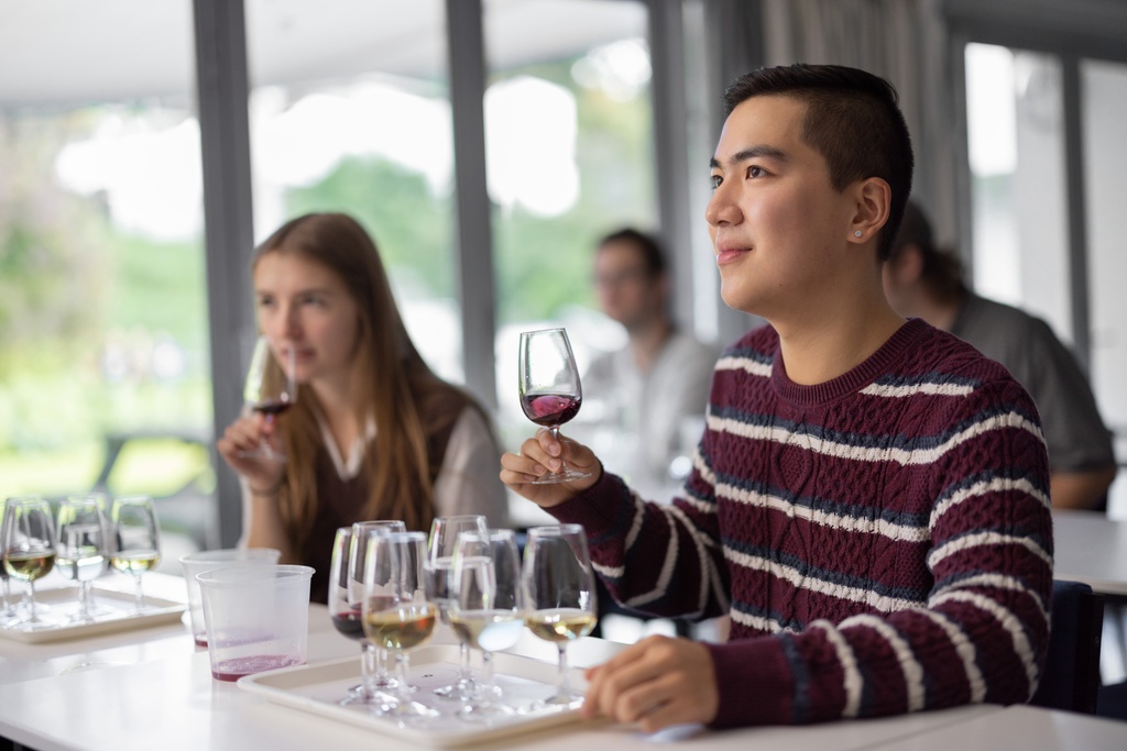 Alcohol laws and drinking responsibly | NauMai NZ