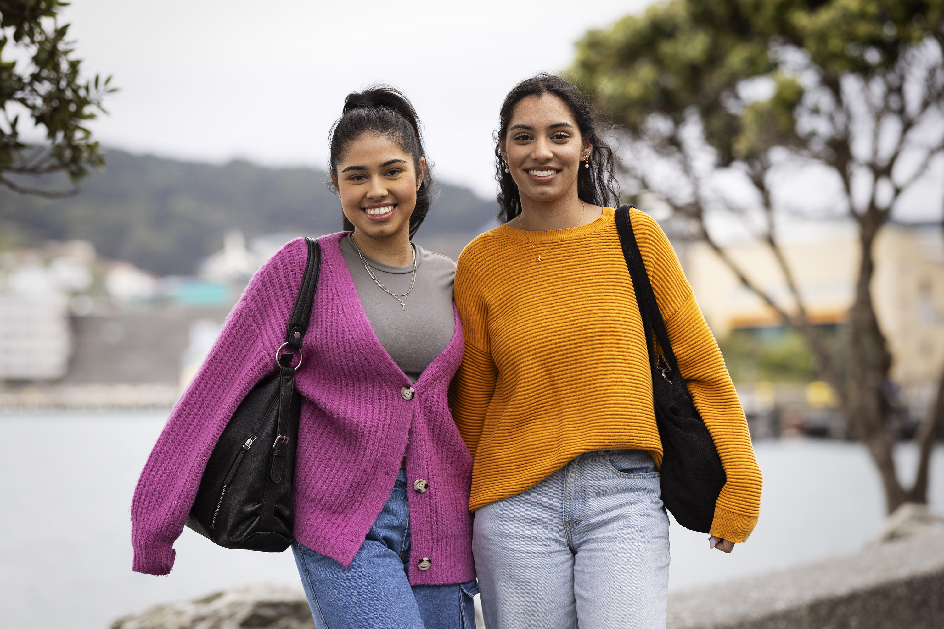 Top 10 Facts about New Zealand Education for Students