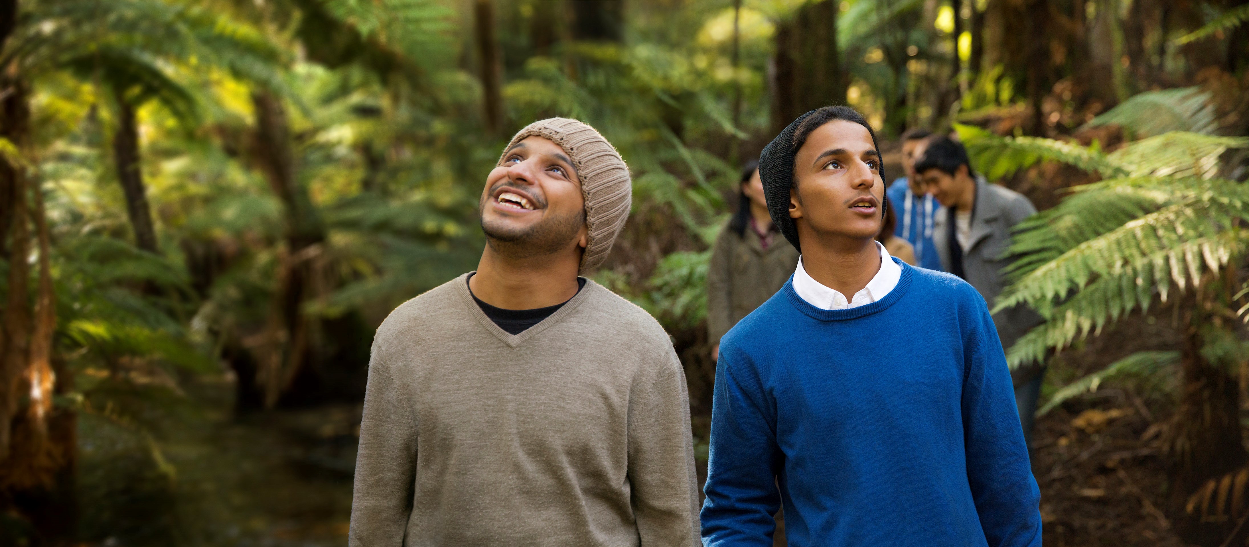 Discover | Study with New Zealand