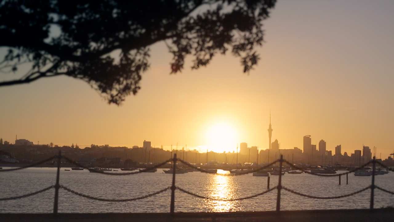 Fun Things to Do In and Around Auckland | Study With New Zealand