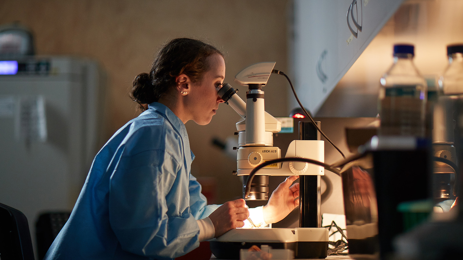 Forging a New Path to Help Save the World’s Oceans | Study With New Zealand