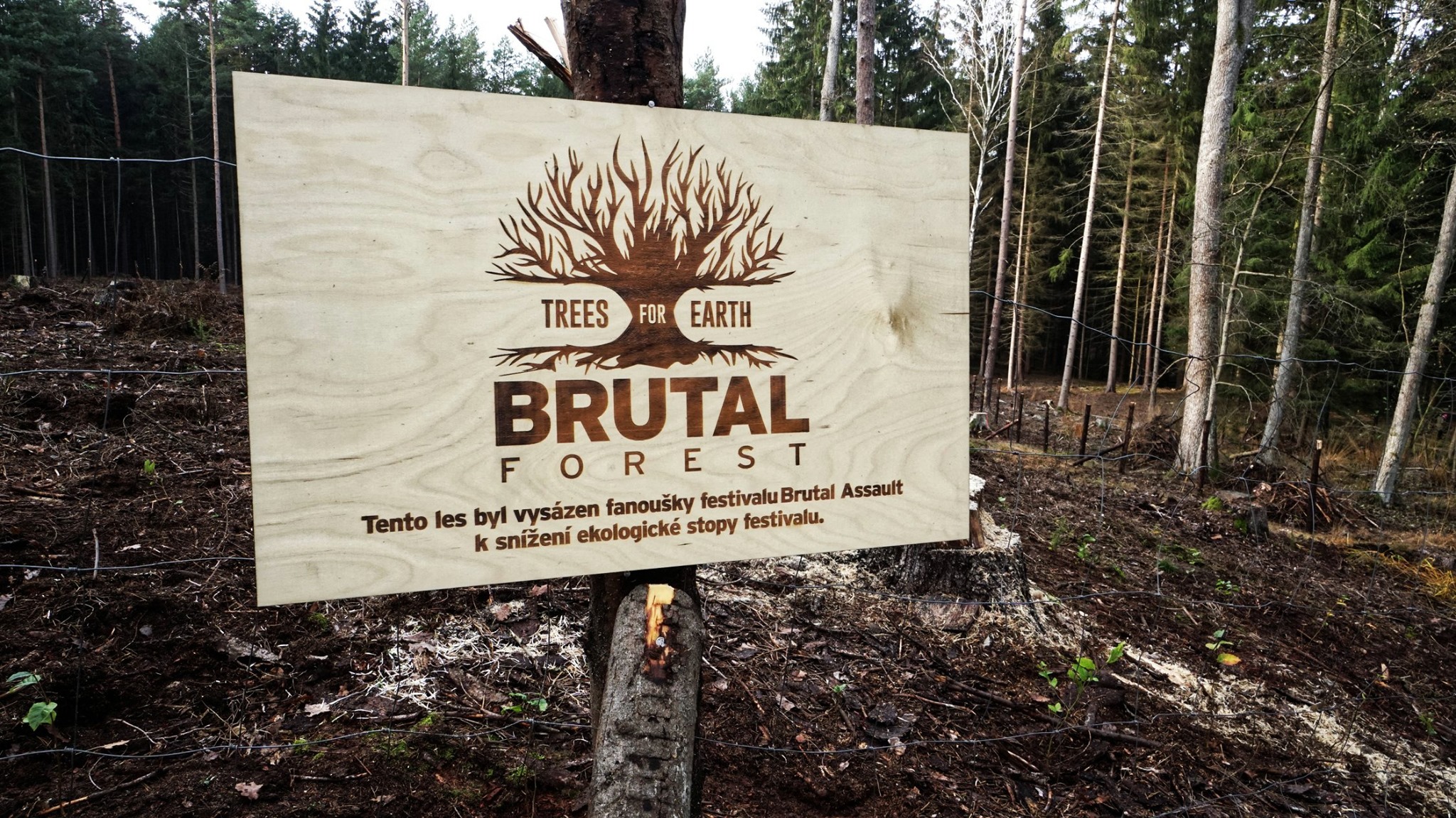 Global hub for nature restoration and conservation | Restor