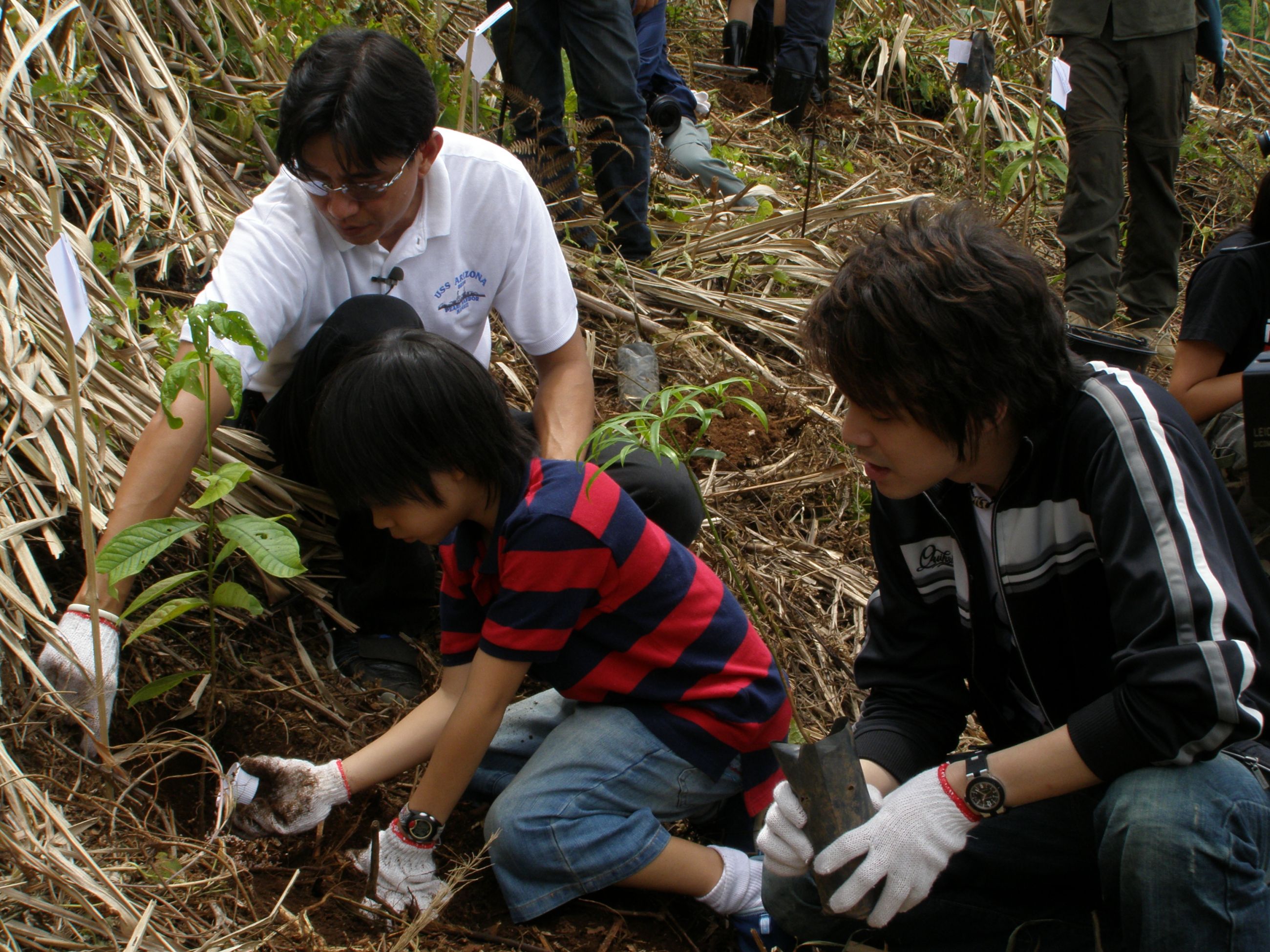 Global hub for nature restoration and conservation | Restor