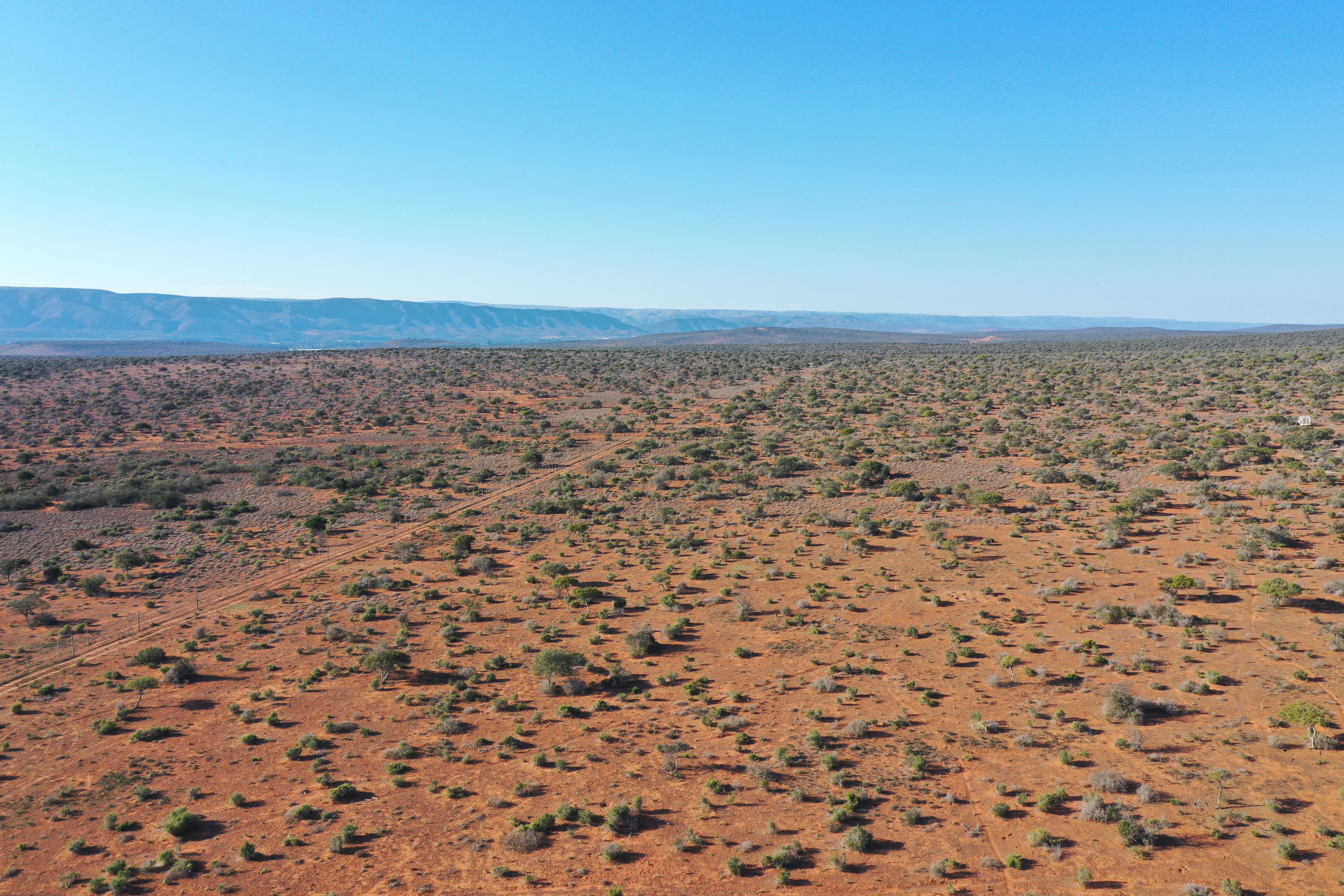 Global hub for nature restoration and conservation | Restor