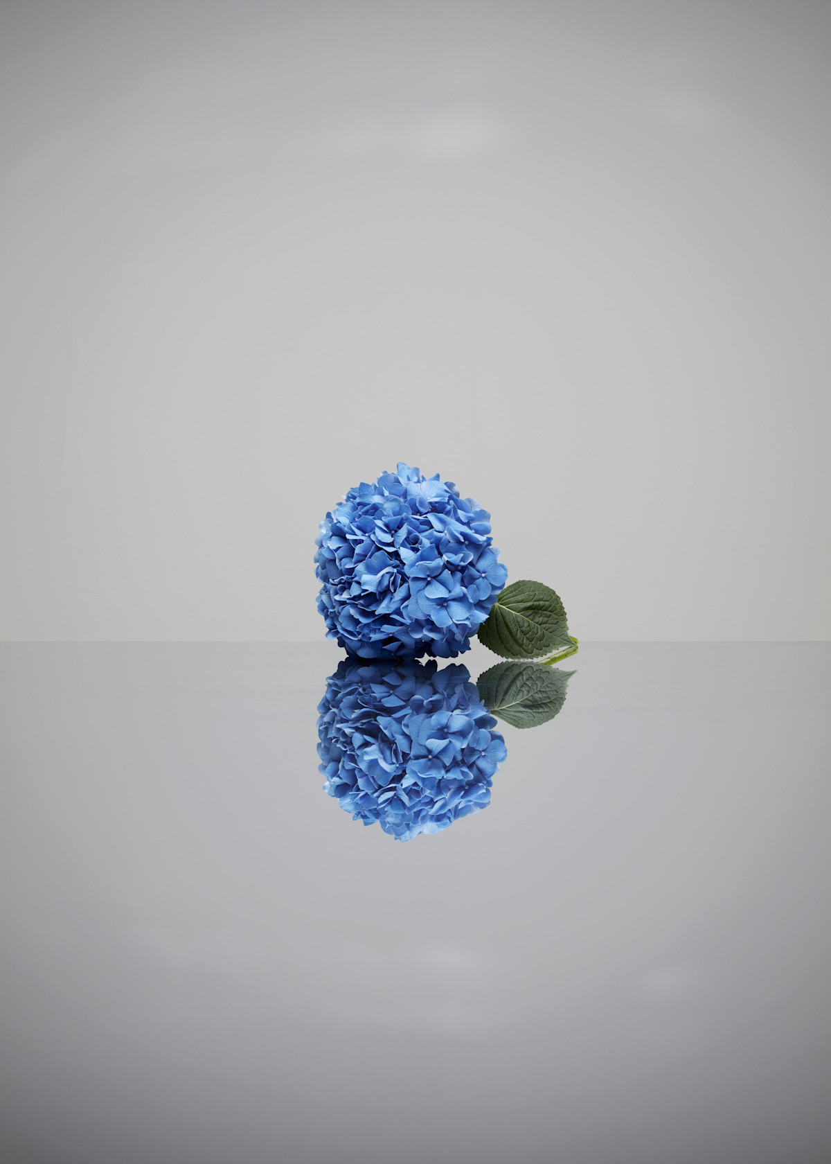 The Blue Bar at The Berkeley | David Collins Studio