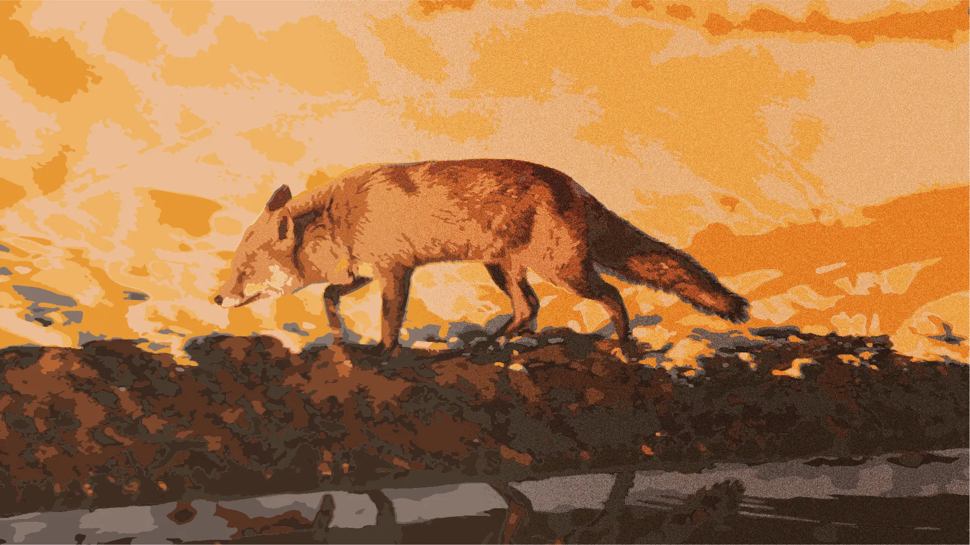 How to Manage & Moderate Facebook Ad Comments in 2025?