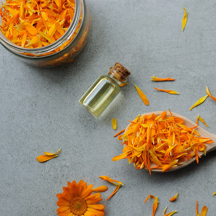 The Calendula Benefits for Your Skin Are Real and Abundant
