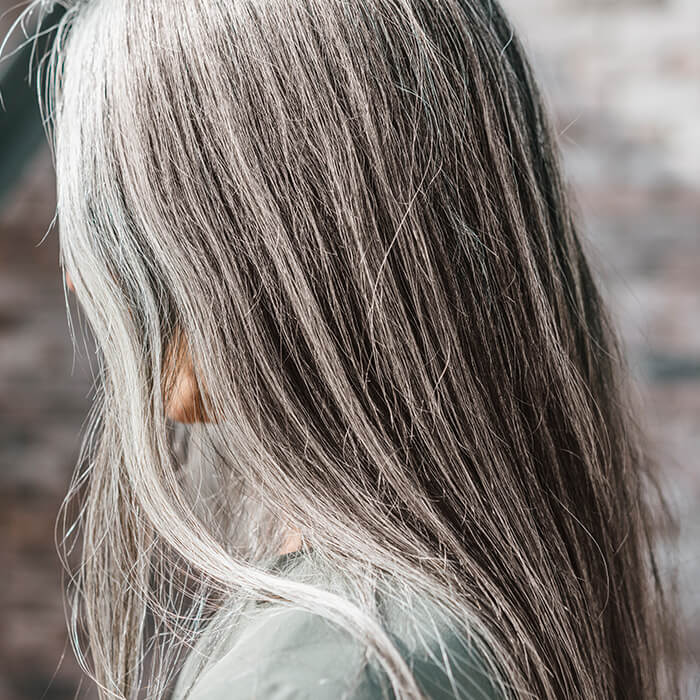 10 Best Shampoos for Gray Hair 2023