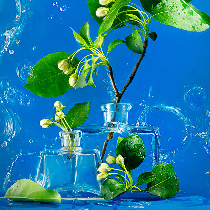 13 Best Natural Perfumes 2023