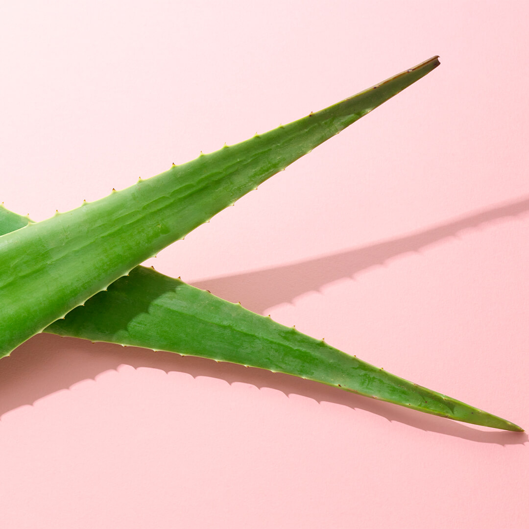 How to Get Rid of Heat Rash: 10 Home Remedies for Heat Rash