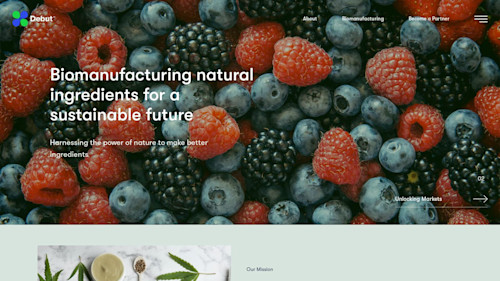 Debut Biotech | SUNRYSE