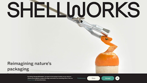 Shellworks | SUNRYSE