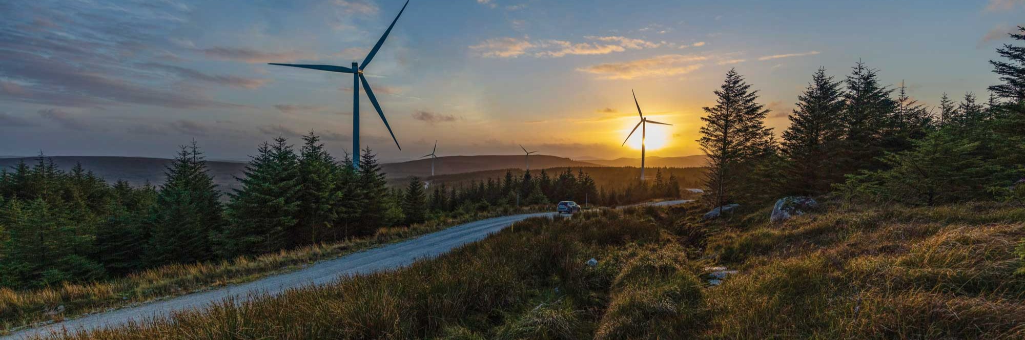 Electricity - Ireland