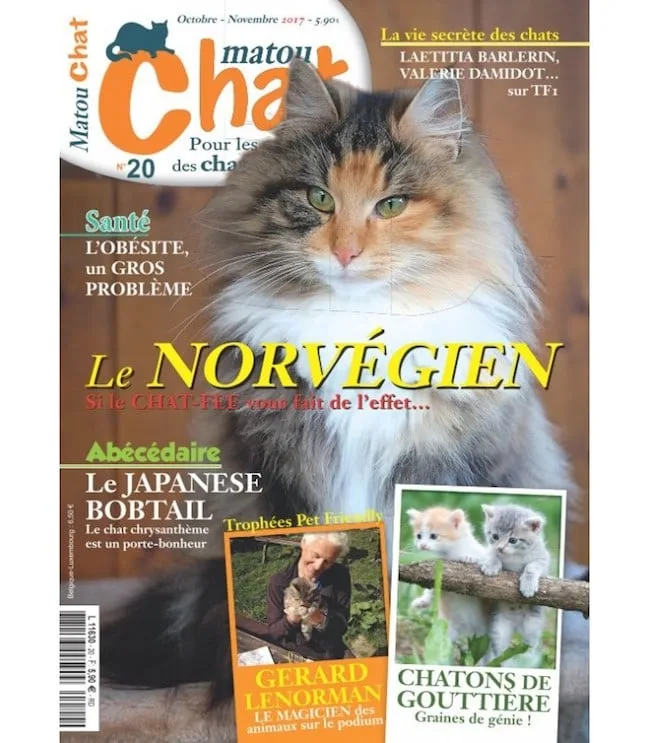 Quelles revues pour les amoureux des chiens et chats ? - Trucs ...