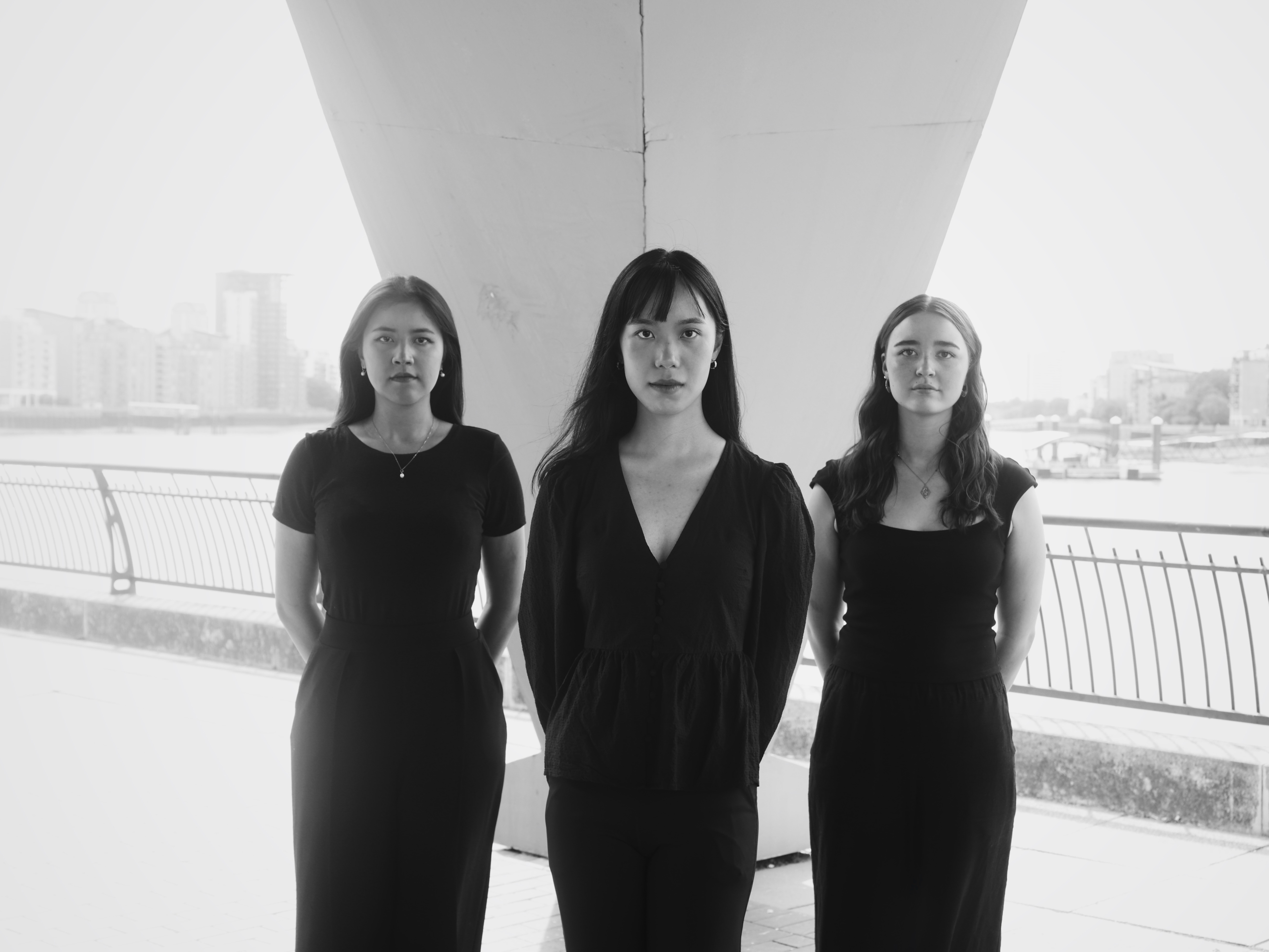 Profile | Violana Ensemble | Continuo Connect